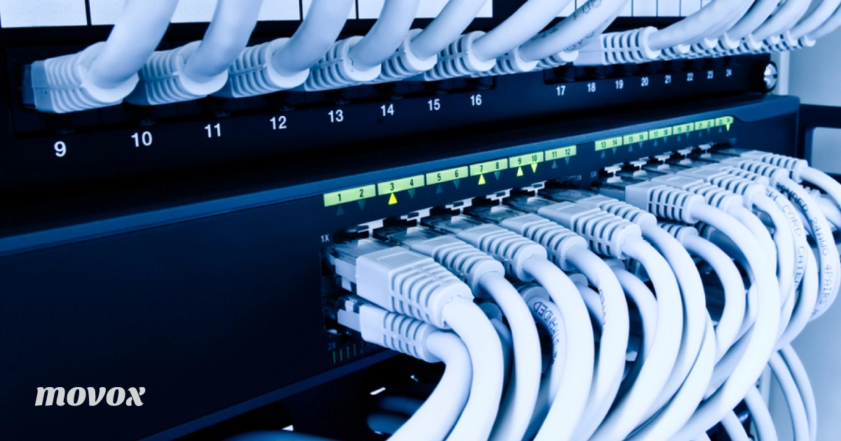 Network equipment | MOVOX